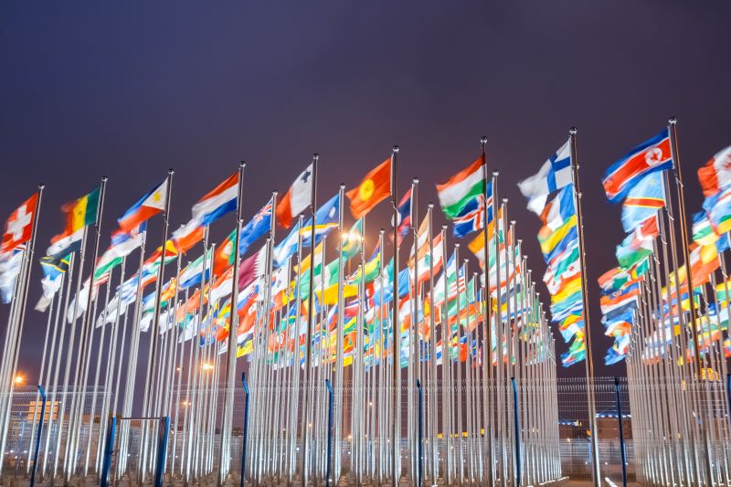 Emerging Actors in the Multilateral System | Center For Global Development