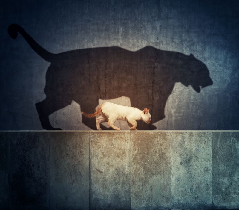 World Bank Reform: Landing as a Tiger or as a Housecat? | Center For ...
