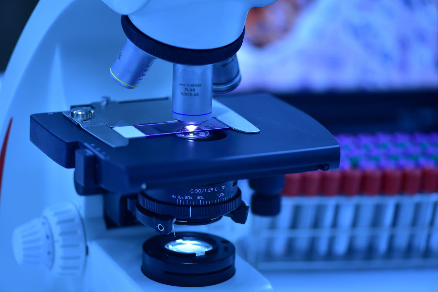 Balancing The Scales Navigating The Cost Benefit Divide Of Global