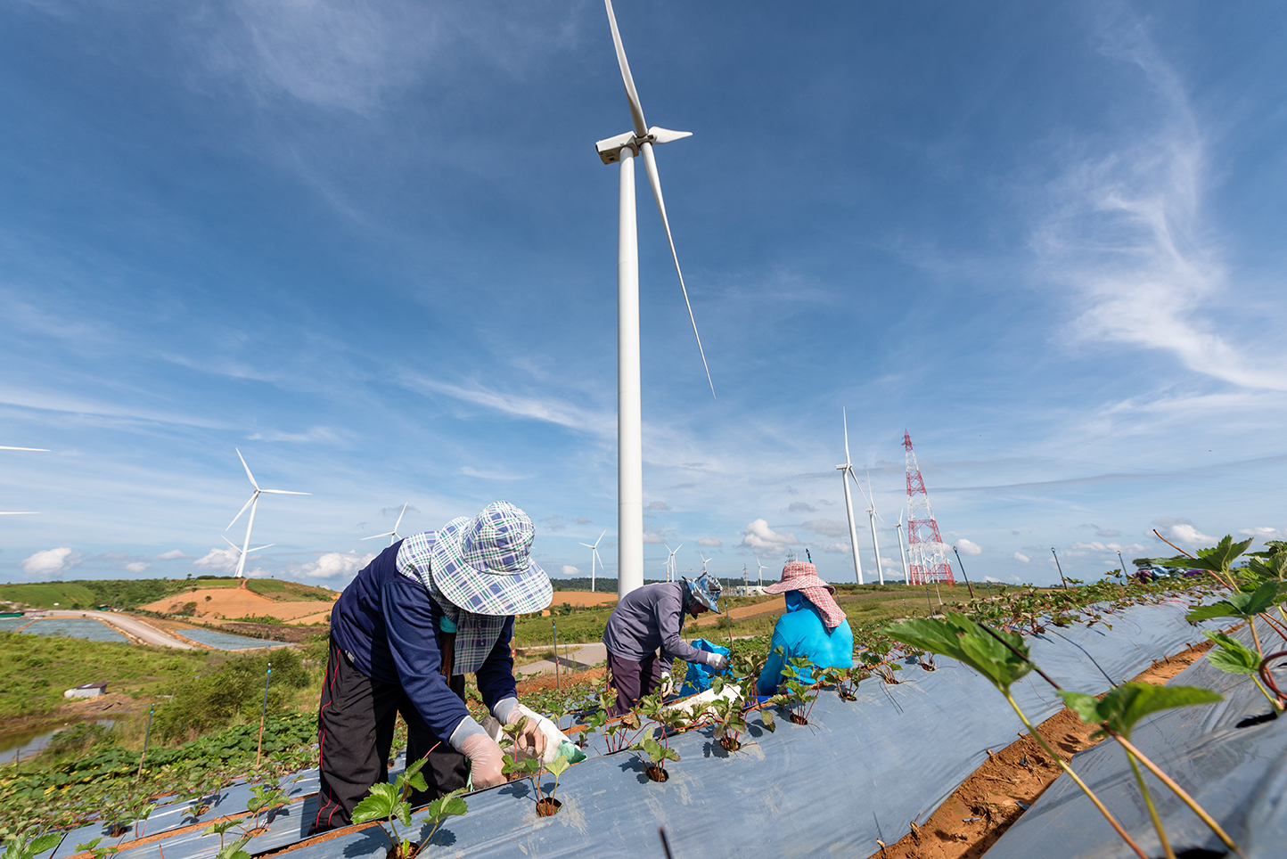 Have Climate Finance Targets Changed What the World Bank Actually ...