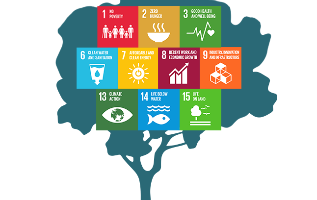 The 10 Sustainable Development Goals that Rainforests Can Help Us ...