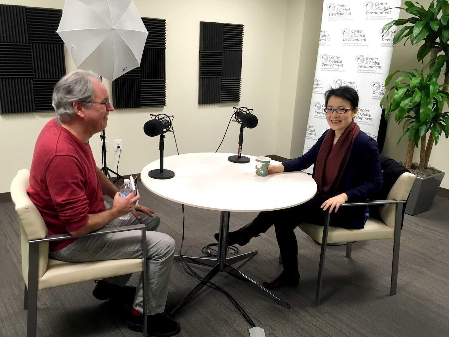 The Politics of Big Data with Yuen Yuen Ang – CGD Podcast | Center For ...