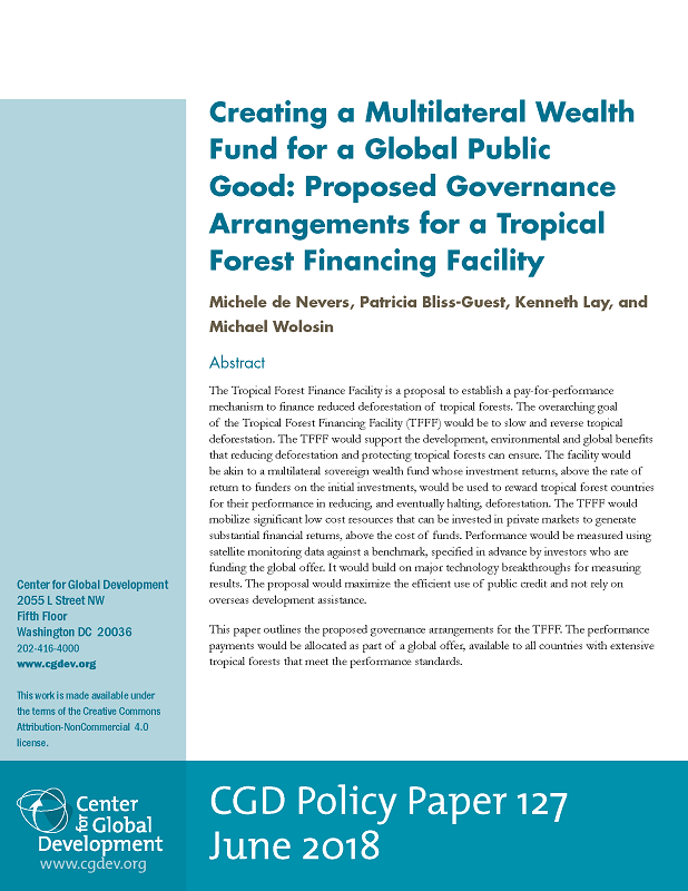 Creating a Multilateral Wealth Fund for a Global Public Good: Proposed ...