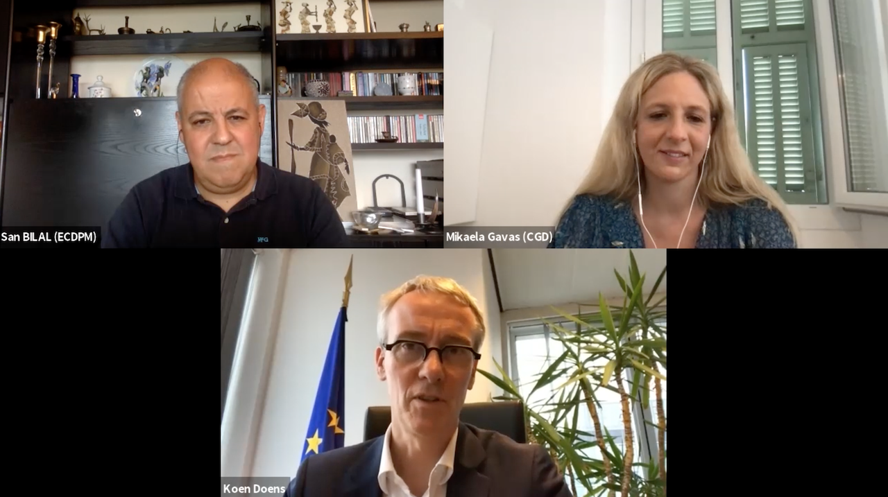 A Conversation on the European Financial Architecture for Development ...