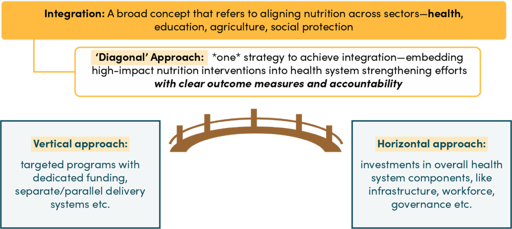 Scaling Up Nutrition Interventions Through Integration: A “Diagonal ...