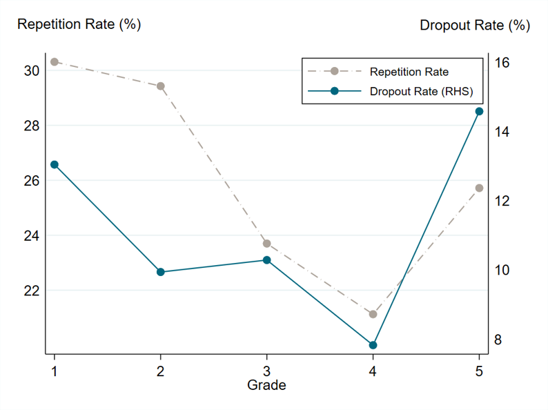Grade Repetition in Developing Countries: Repeat to Fail or Second Time ...